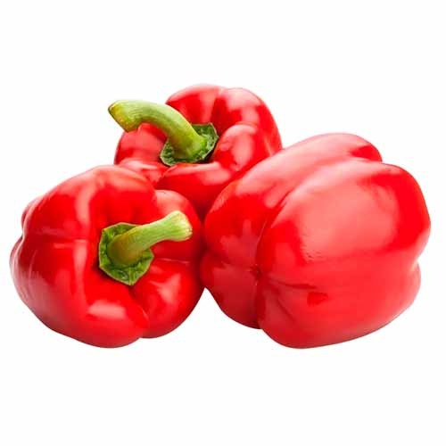 MORRON ROJO KG 2828 - El Dorado